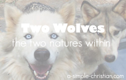 Two Wolves | The Wolves Within - A Cherokee Story